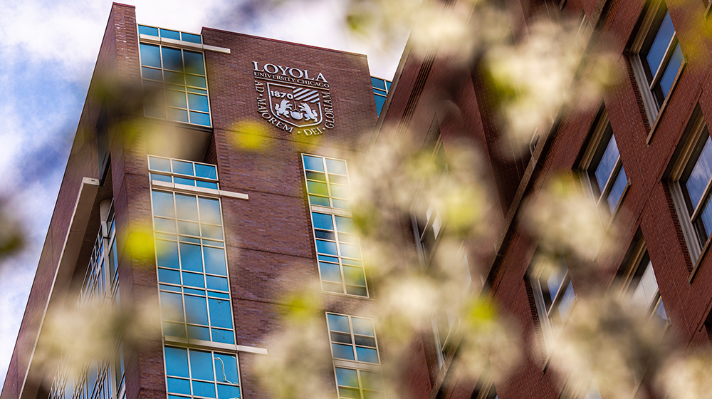 Loyola University Chicago Stritch School of Medicine: Loyola University ... Loyola University Chicago Stritch School of Medicine: Loyola University ...
